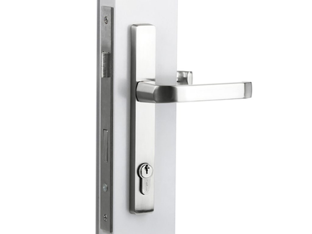 Sylvan Leo Lever Handles On 202mm Long Plate with Iseo 741 30mm lock ...