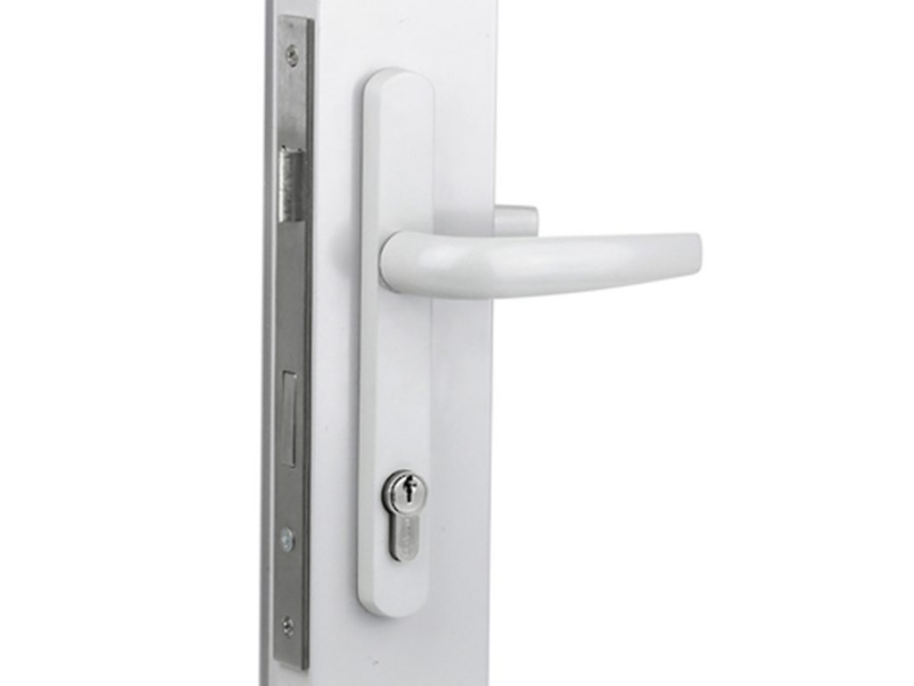 Sylvan Orion Lever Handles On 202mm Long Plate with Iseo 741 30mm lock ...